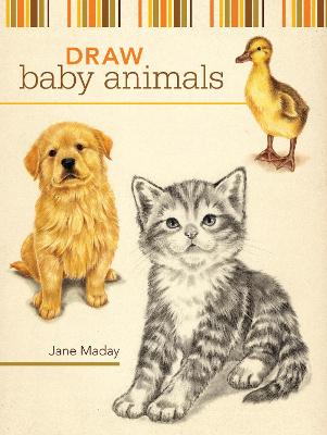 Draw Baby Animals - Bruce McKenzie Booksellers